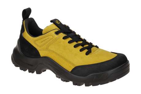 Ecco Schuhe für Herren | Schuhhaus Strauch